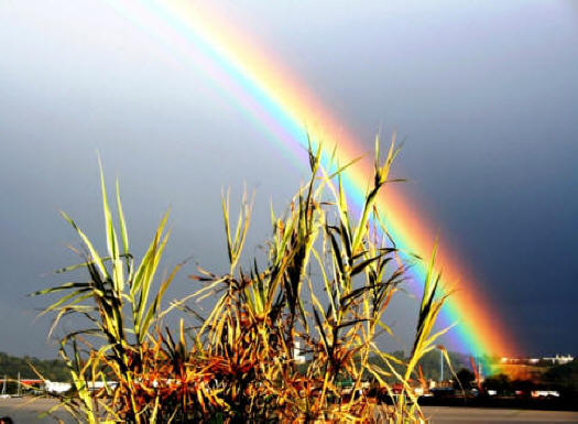 LES PHENOMENES NATURELS